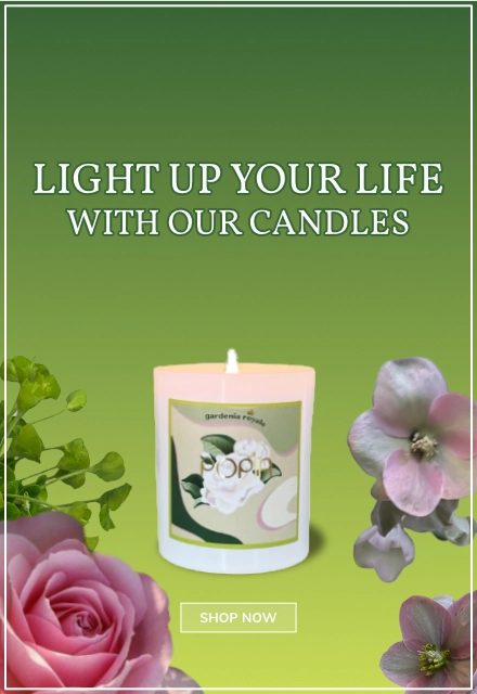 Popia London Candles - POPIA London - Natural wax candles